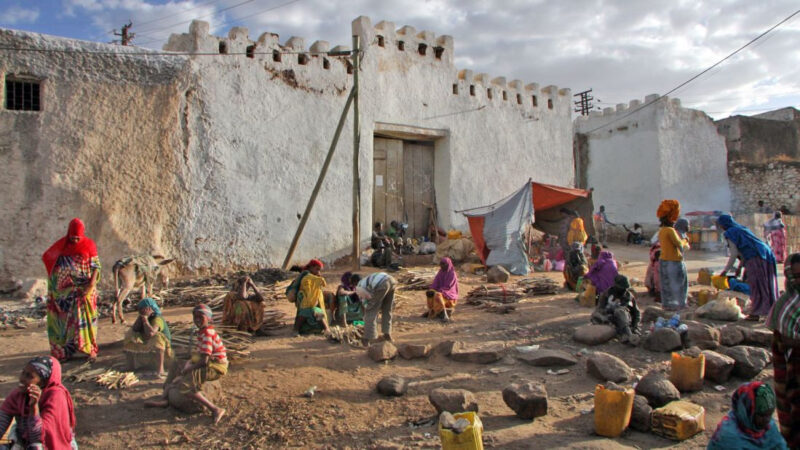 Feeding Hyenas: The Fascinating culture of Harar - Anbessa Travel